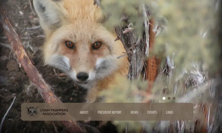 Utah Trapping Guide | THF Outdoors