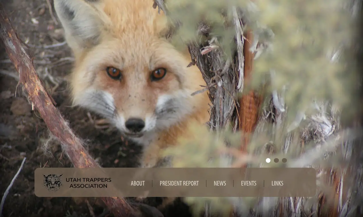 Utah Trapping Guide | THF Outdoors