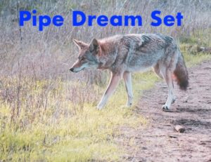 Pipe Dream Set For Coyotes, Fox, And Bobcats | THF Outdoors